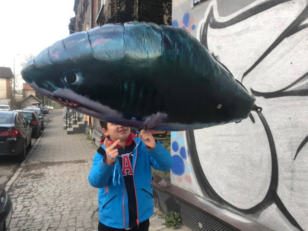 Remote Controlled Flying Fish